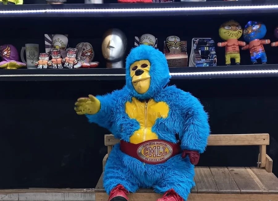 ¿Qué le pasó a Kemonito? Operan al icónico luchador y así será su ...