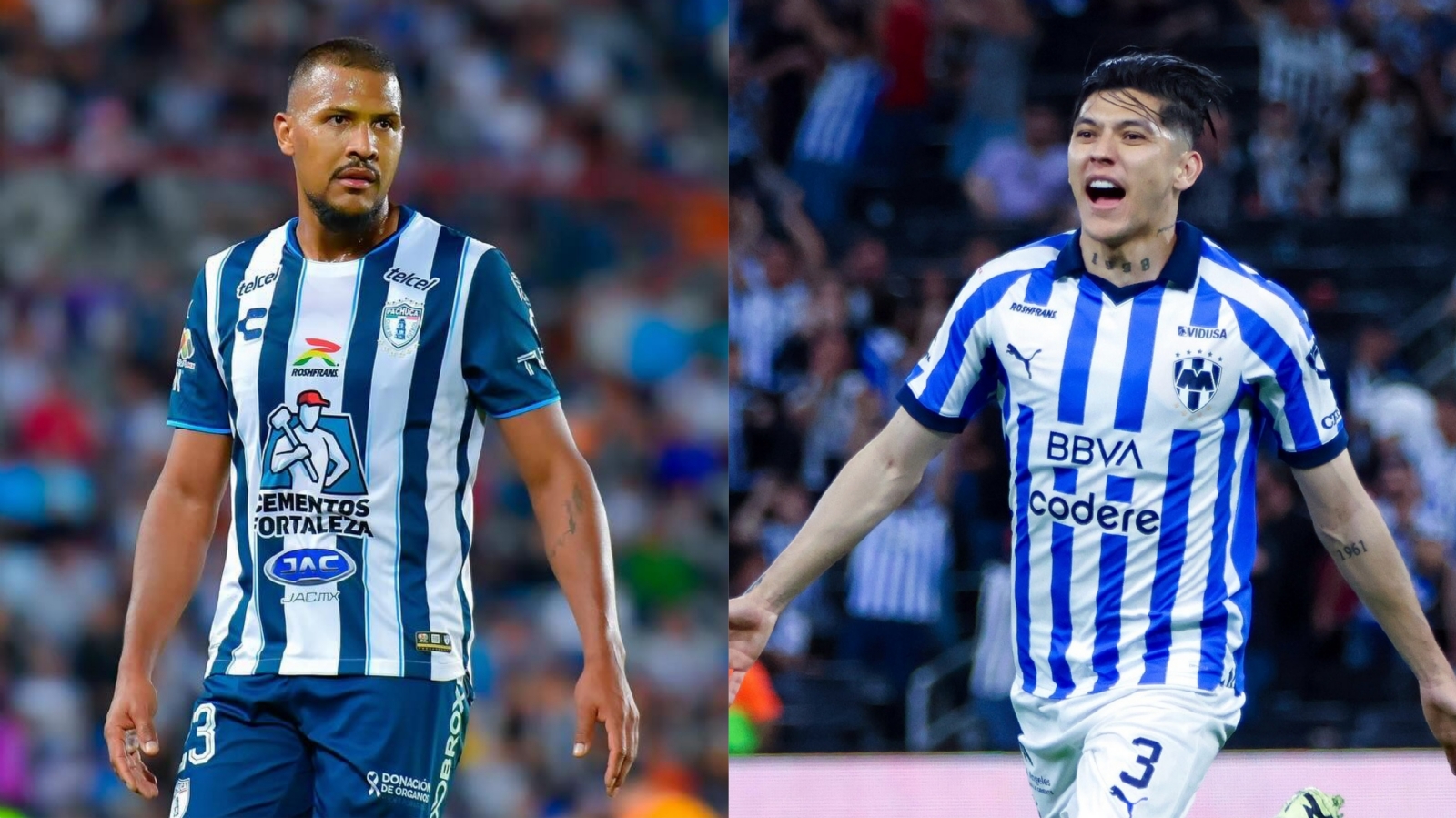 Liga MX Apertura 2024 | Ver Pachuca vs Rayados EN VIVO HOY: Detalles de ...